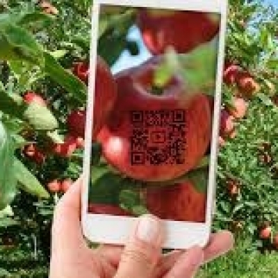 Os mitos e verdades sobre a rastreabilidade de alimentos para o pequeno ...