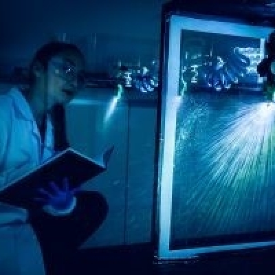 DVA Group investe US$ 200 milhões na América Latina - Revista Terra&Cia